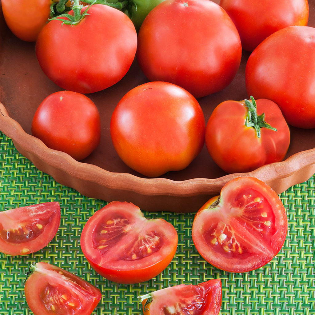 Snackin' Archives - Salisbury Greenhouse