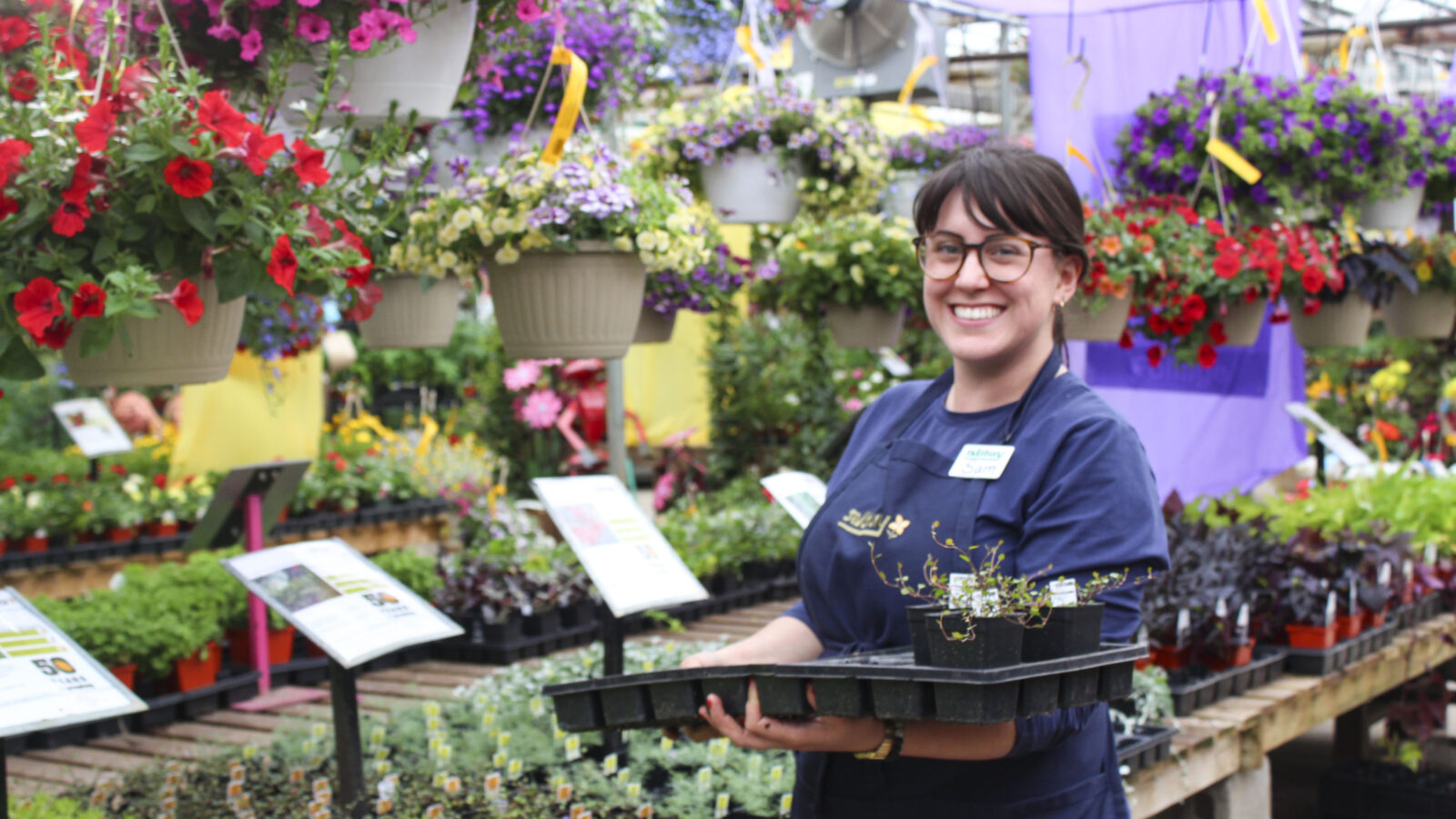 Homepage - Salisbury Greenhouse