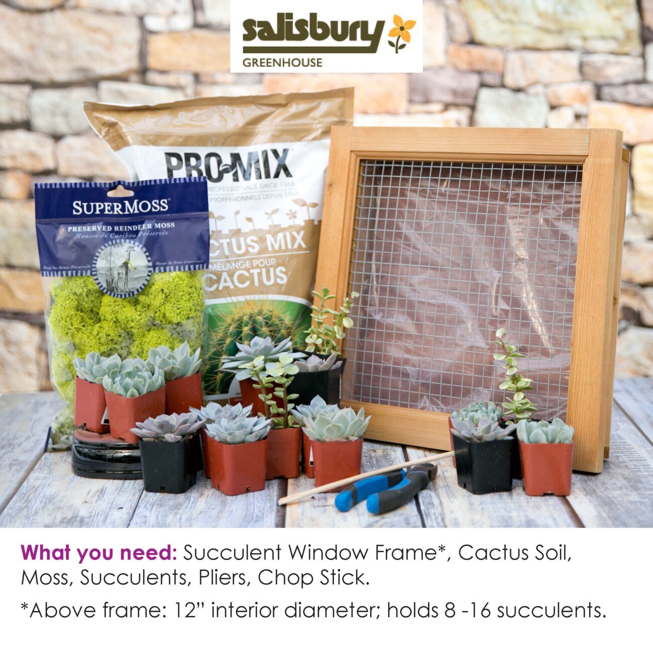 Succulent Window Frame How To - Salisbury Greenhouse