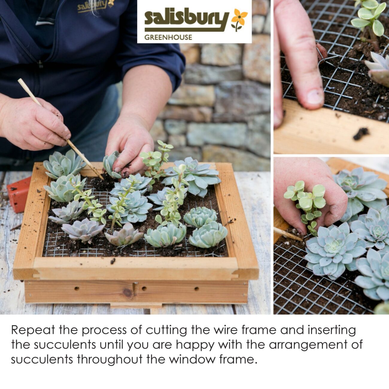 Succulent Window Frame How To - Salisbury Greenhouse