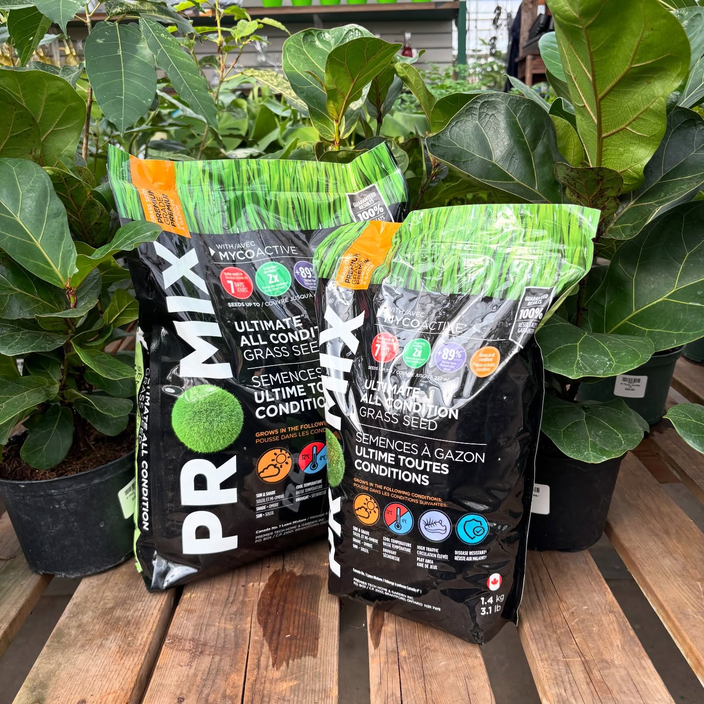 40% Off Pro Mix Ultimate All Condition Grass Seed 1.4kg & 3.0kg bags ...