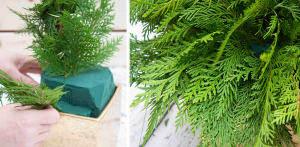 DIY Whoville Tree - Salisbury Greenhouse - Blog