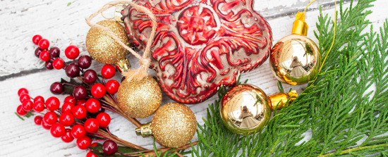 DIY Whoville Tree - Salisbury Greenhouse - Blog