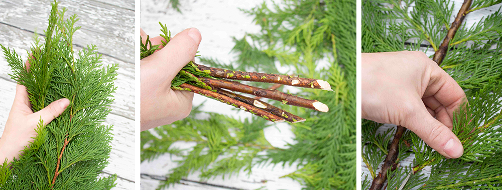 DIY Whoville Tree - Salisbury Greenhouse - Blog