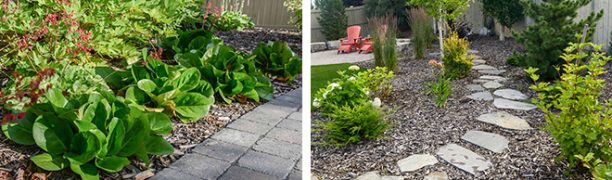 DIY Landscape Design Tips - Salisbury Greenhouse - Blog