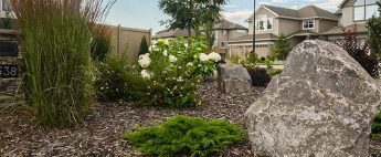 DIY Landscape Design Tips - Salisbury Greenhouse - Blog
