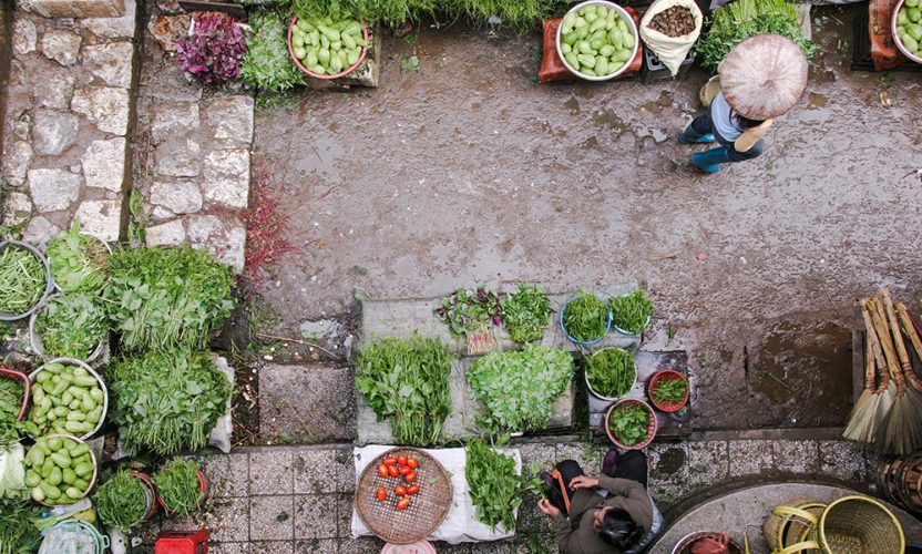 Edible Garden Layouts 101 - Salisbury Greenhouse - Blog