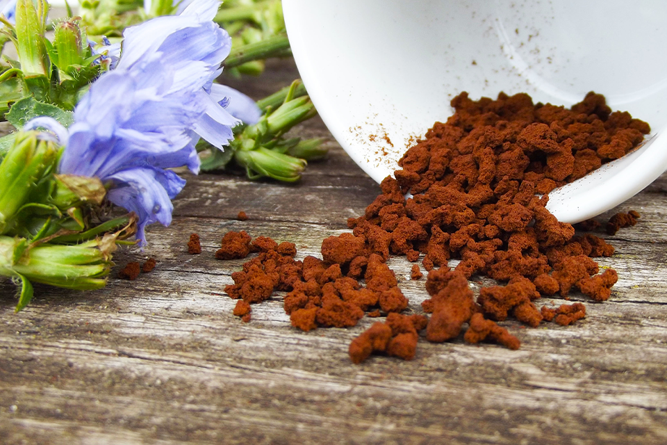 Grow Your Own Chicory Root: A Natural Anti-Inflammatory Herb ...