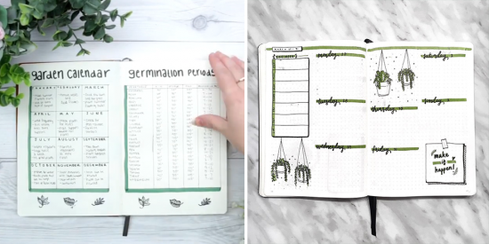 How To Create A Personalized Plant Journal - Salisbury Greenhouse - Blog