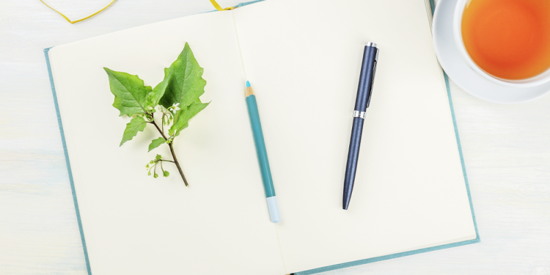 How To Create A Personalized Plant Journal - Salisbury Greenhouse - Blog