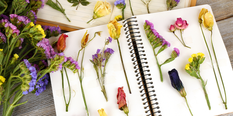 How To Create A Personalized Plant Journal - Salisbury Greenhouse - Blog