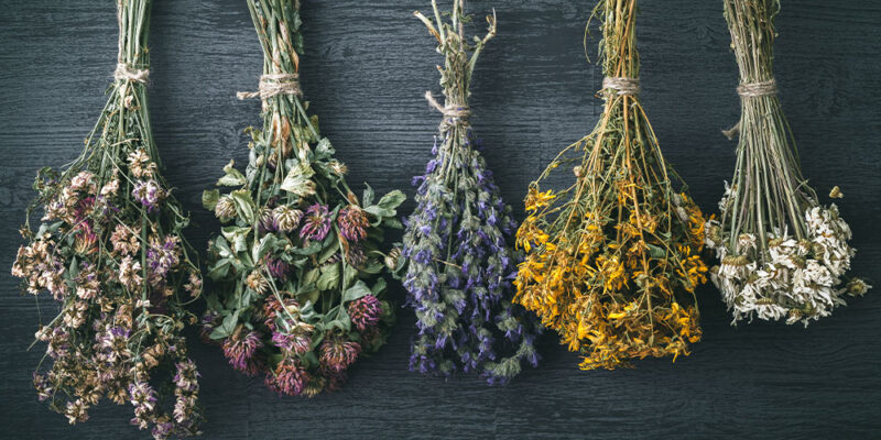 How to Create a Forever Floral Fall Bouquet - Salisbury Greenhouse - Blog