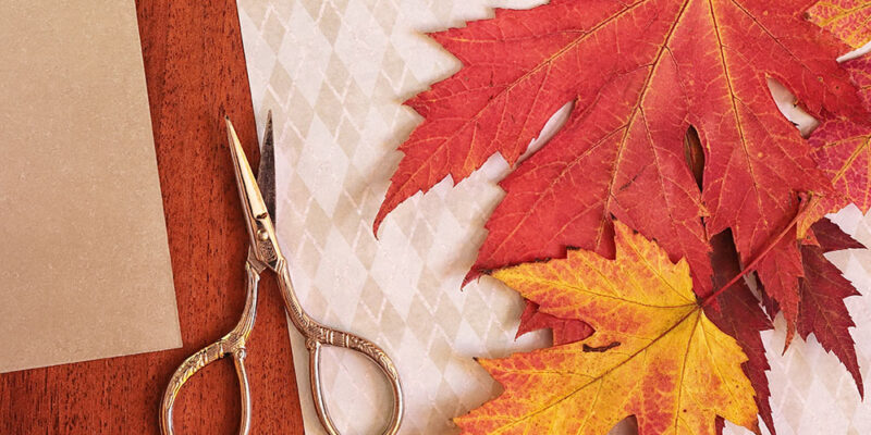 DIY Lovely Leaf Crafts - Salisbury Greenhouse - Blog