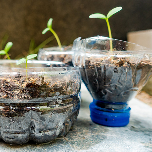 A Guide to Eco-Friendly Spring Clean-Ups in Alberta - Salisbury ...