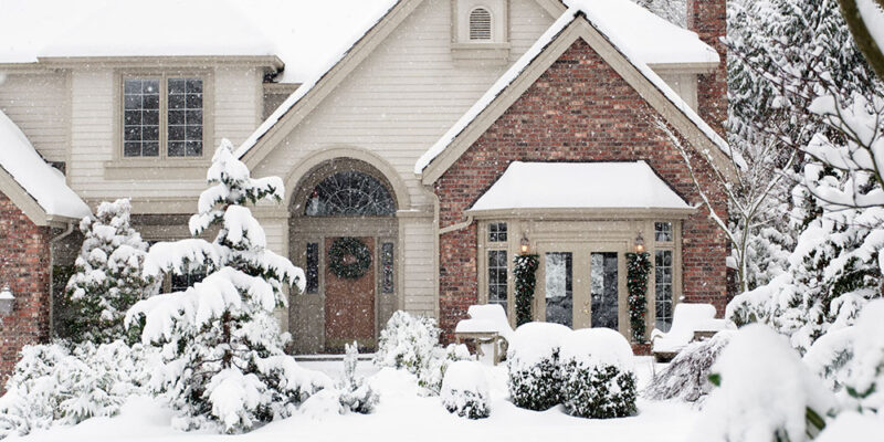 Don't Let the Snow Get Your Plants Down! - Salisbury Greenhouse ...