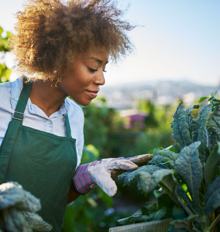 Growing Guides 101 - Salisbury Greenhouse