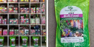 How to Design a Bulb Garden - Salisbury Greenhouse - Blog