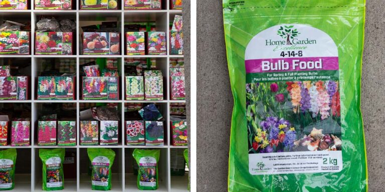 How to Design a Bulb Garden - Salisbury Greenhouse - Blog
