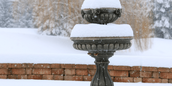Water Features in Winter | Blog | Salisbury Greenhouse