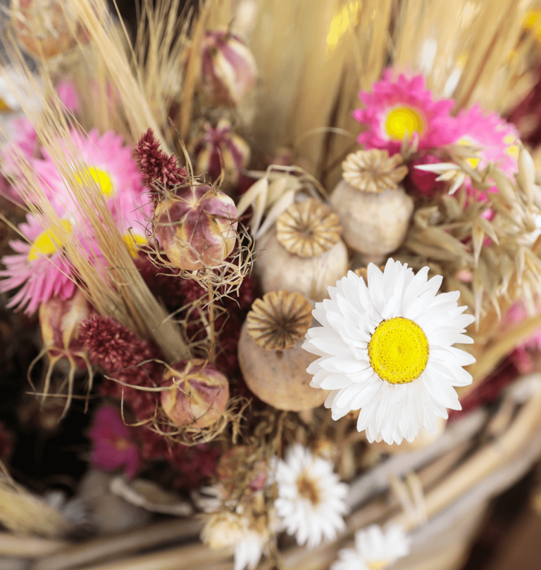 Fresh Evergreen Decor | Salisbury Greenhouse