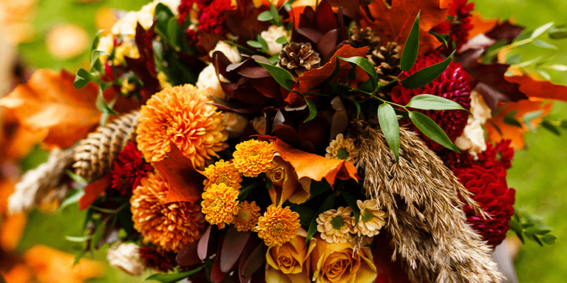 How to Care for Your Fresh Cut Fall Flowers - Salisbury Greenhouse - Blog