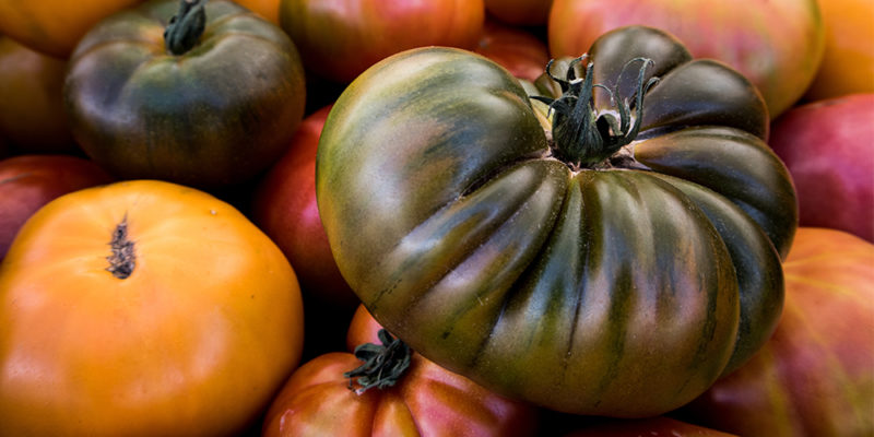 The Best Tomatoes for Every Recipe - Salisbury Greenhouse - Blog
