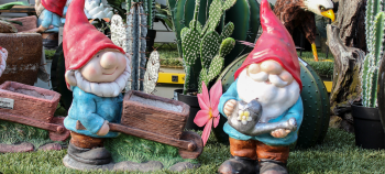 The Mysterious Mythology of Garden Gnomes - Salisbury Greenhouse - Blog
