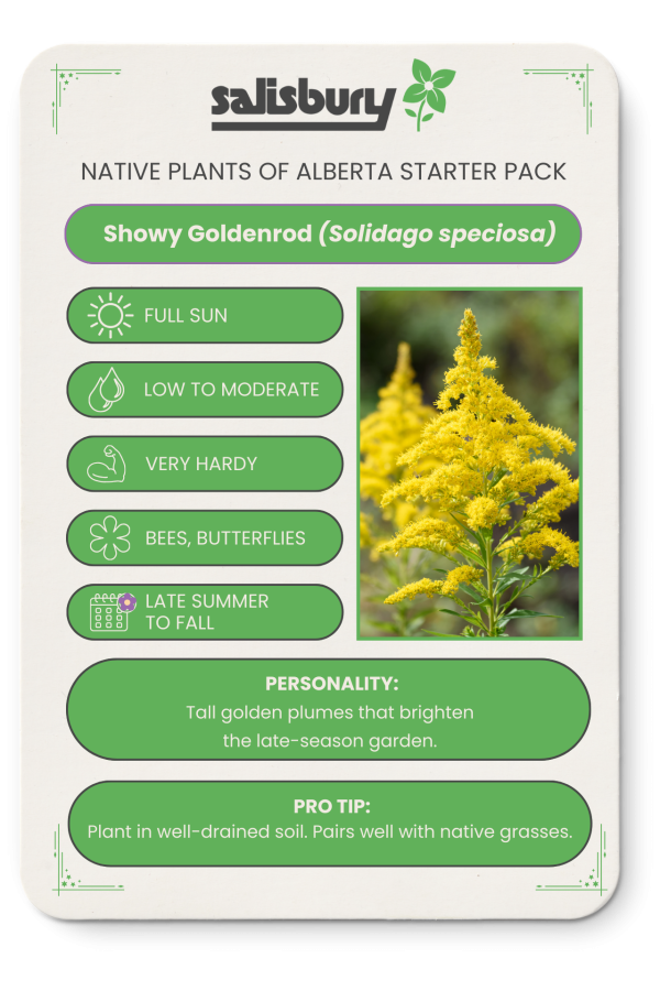 Your Alberta Native Plant Starter Pack | Salisbury Greenhouse | Blog
