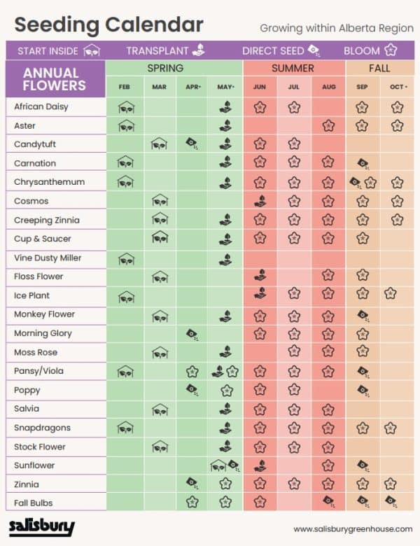 Your Seeding Calendar - Salisbury Greenhouse - Blog
