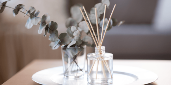 The Many Marvelous Uses of Eucalyptus - Salisbury Greenhouse - Blog