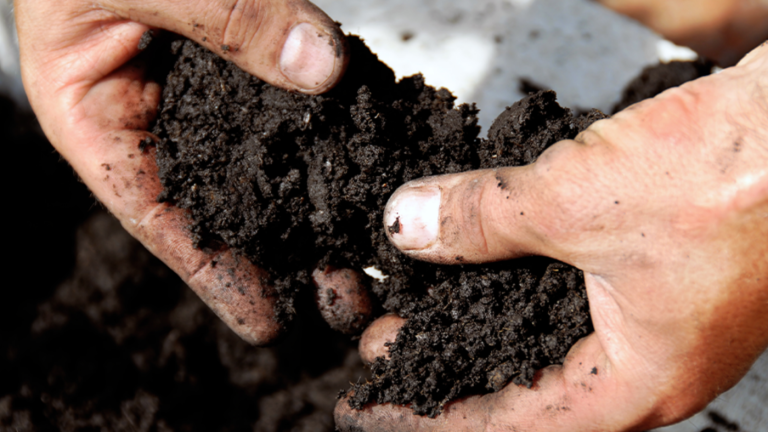 The Science Behind Slow-Release Fertilizers: How They Work and Why They ...