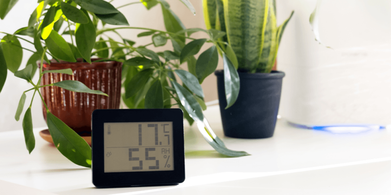 Winter Houseplant Series Part 2: How to Measure Houseplant Humidity ...