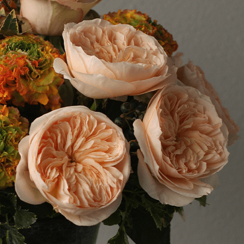 From Pricey to Priceless: The World's Most Expensive Flowers ...