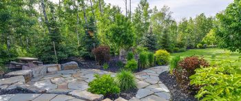 Mountain Ash Trees in Alberta - Salisbury Greenhouse - Blog