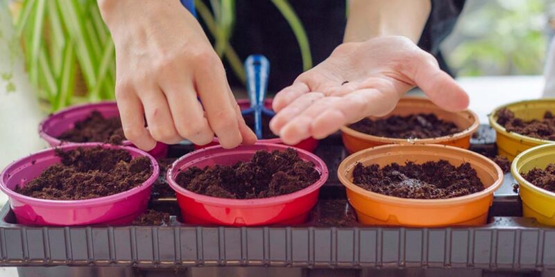 Manage March Madness with Spring Planting - Salisbury Greenhouse - Blog