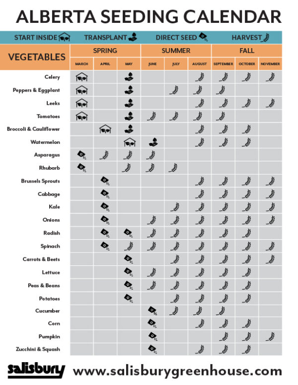 Your Seeding Calendar - Salisbury Greenhouse - Blog