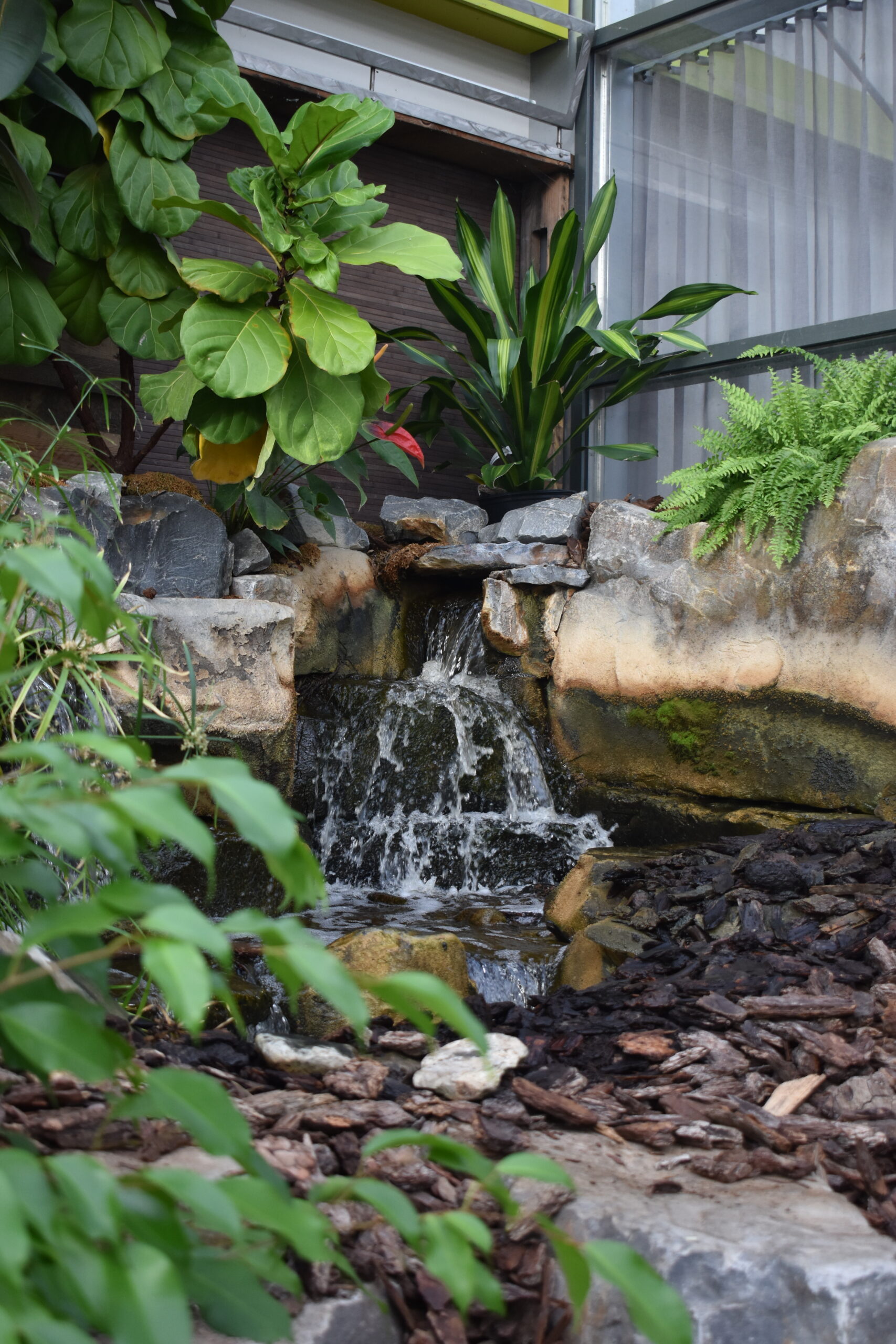 Enhancing Your Yard into an Outdoor Oasis with Water Features and ...