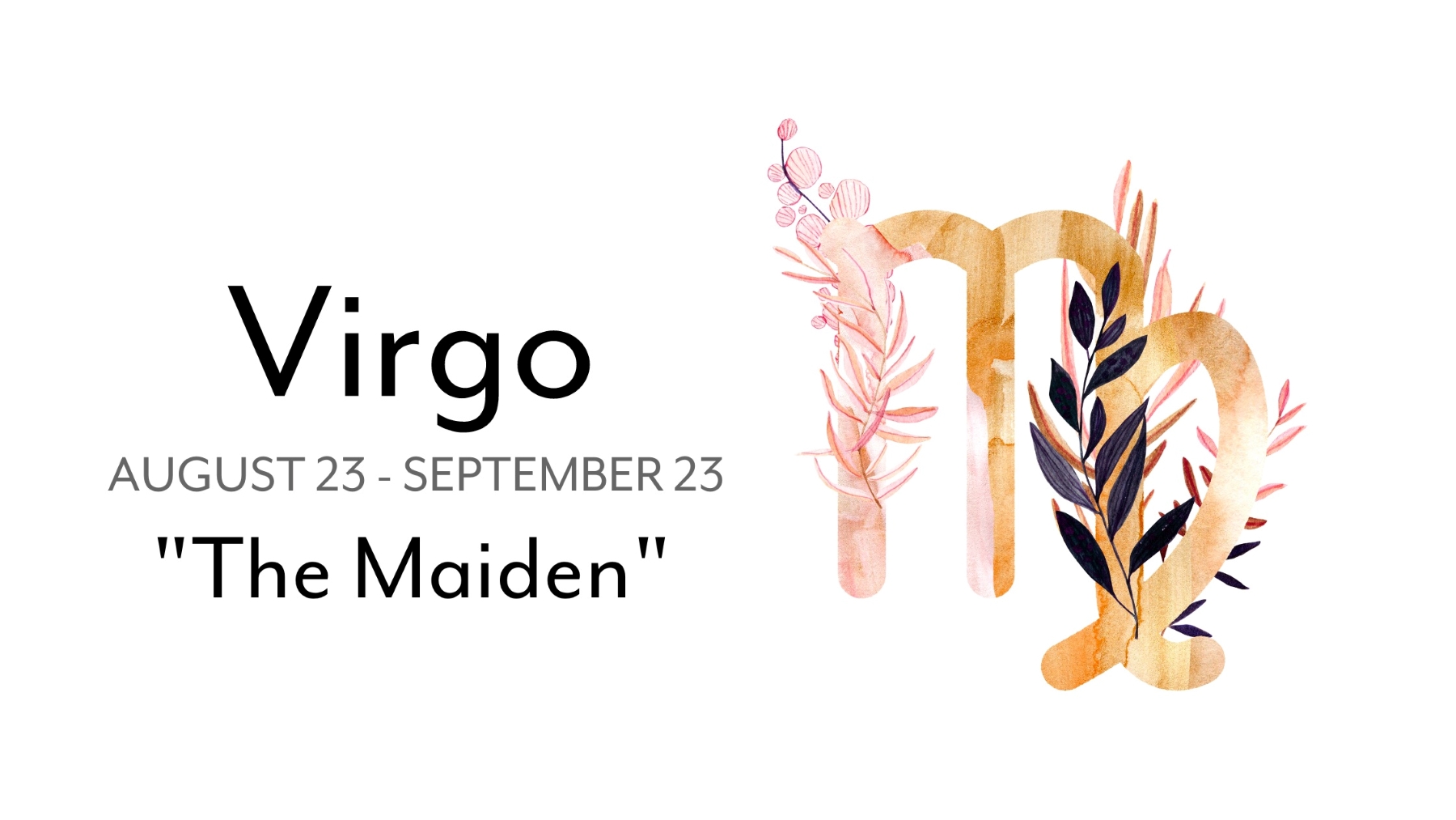 4 Houseplants for the Methodical Virgo- Aligning Greenery with Your ...