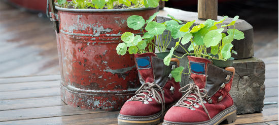 The Top 7 Weirdest Gardening Trends Of 2019 - Salisbury Greenhouse - Blog