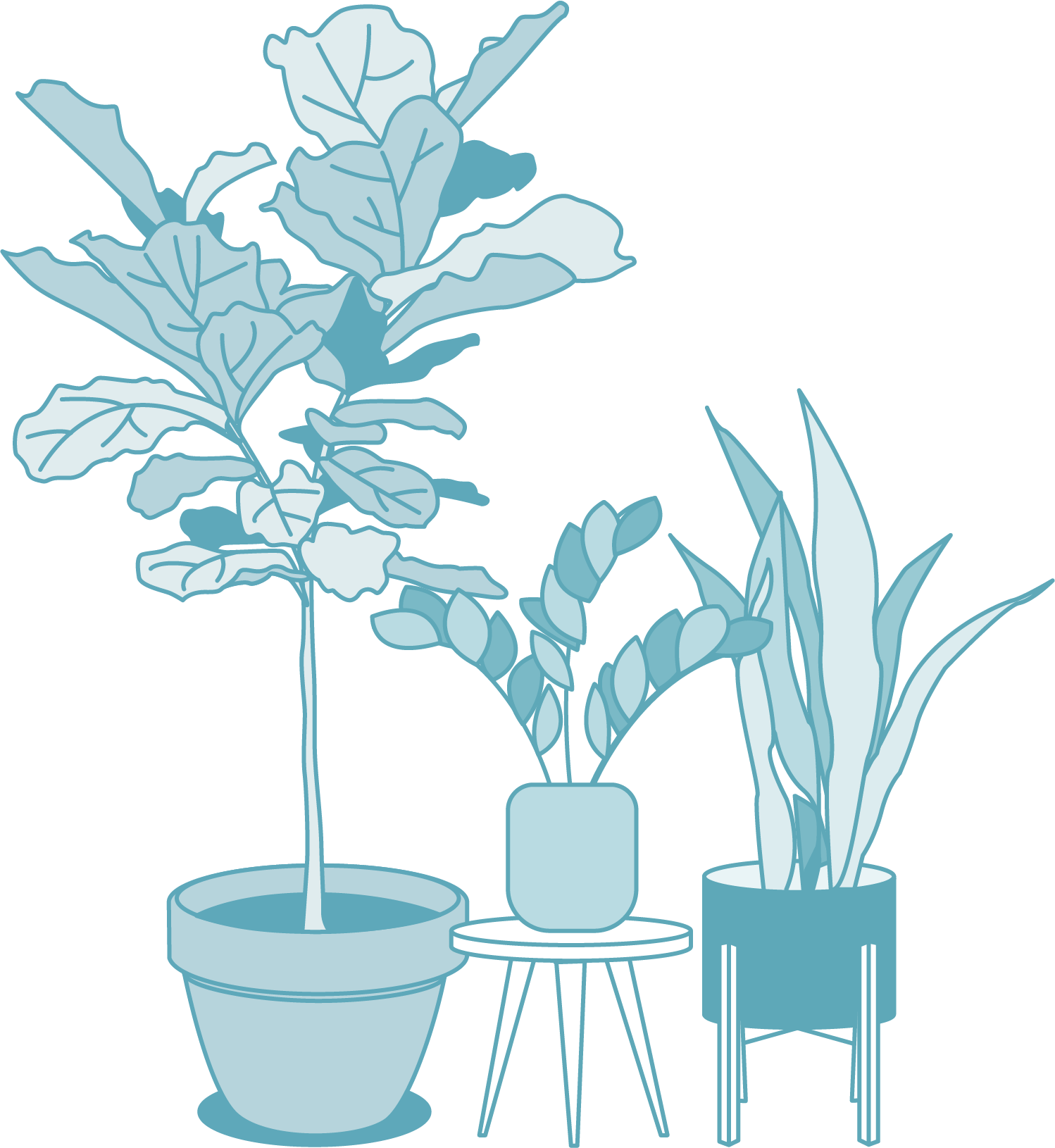 The 5 W's On Repotting Plants - Salisbury Greenhouse - Blog